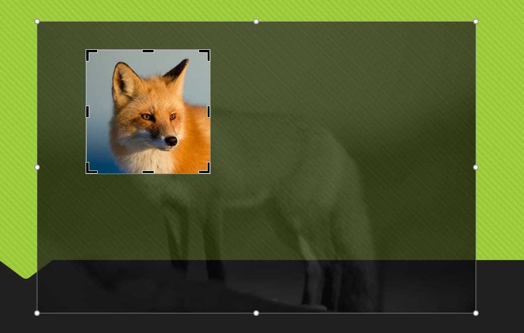 how-to-crop-a-picture-in-powerpoint-4-methods-vegaslide