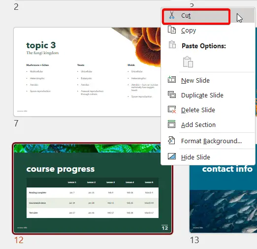  How To Change Slide Order In PowerPoint Vegaslide