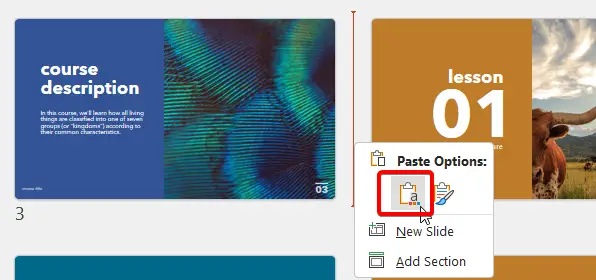  How To Change Slide Order In PowerPoint Vegaslide